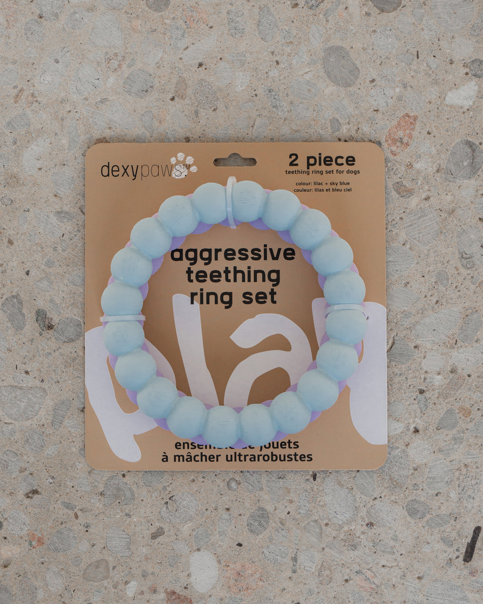 2 Piece Ring Aggressive Chew Toy Set - Lilac Purple & Sky Blue – dexypaws