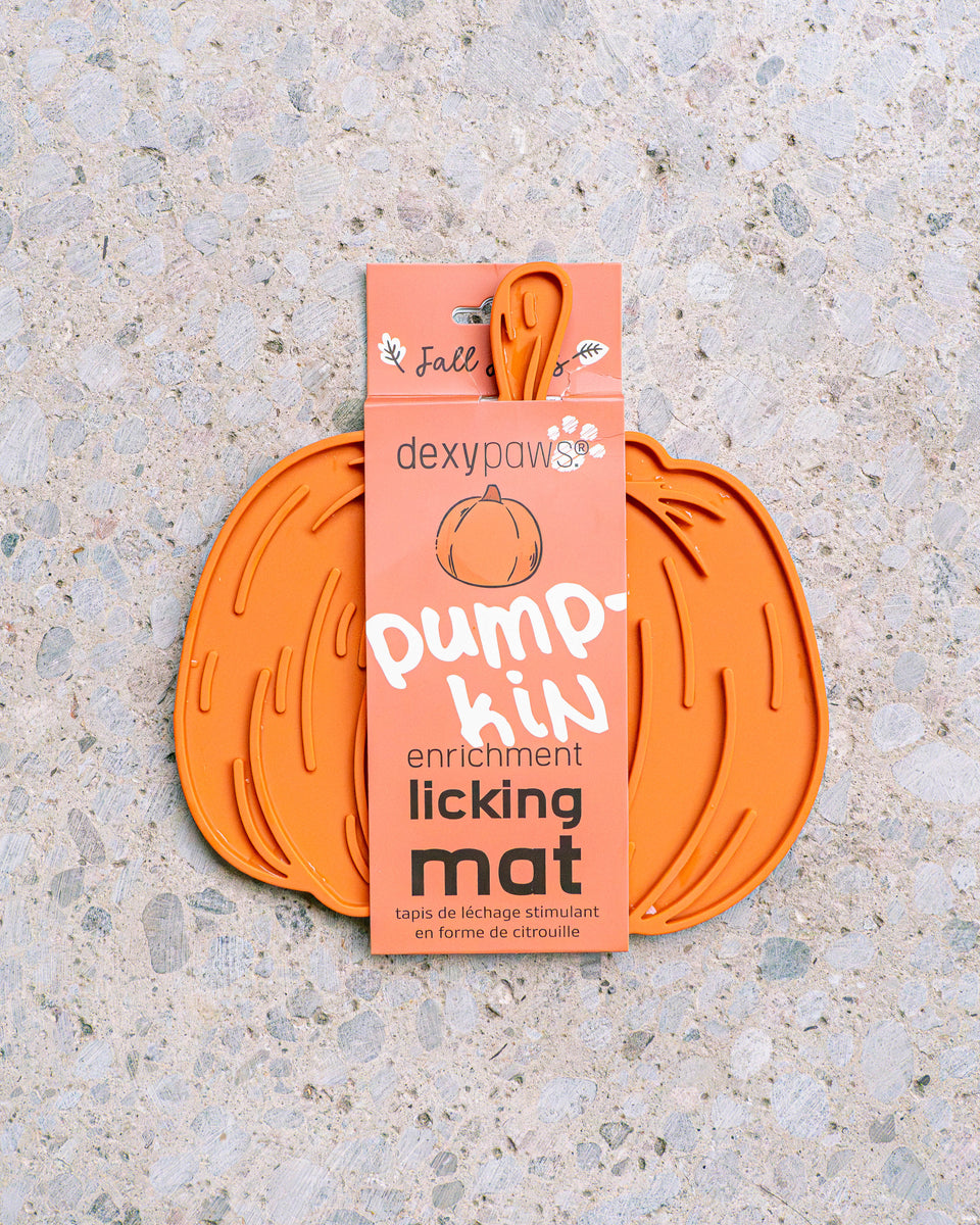 Pumpkin Lick Mat – dexypaws