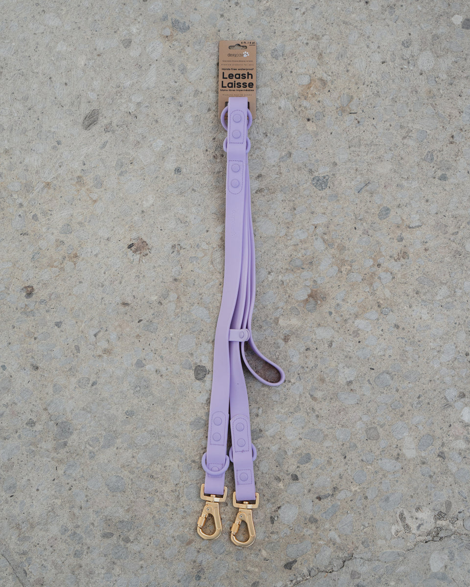 Lilac Hands Free Waterproof Dog Leash – dexypaws