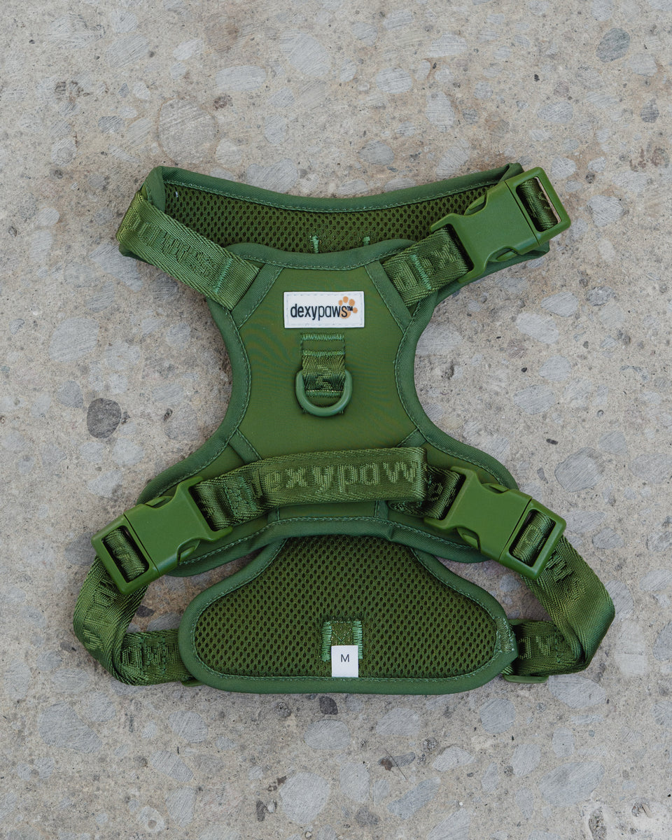 Camo Green Harness – dexypaws