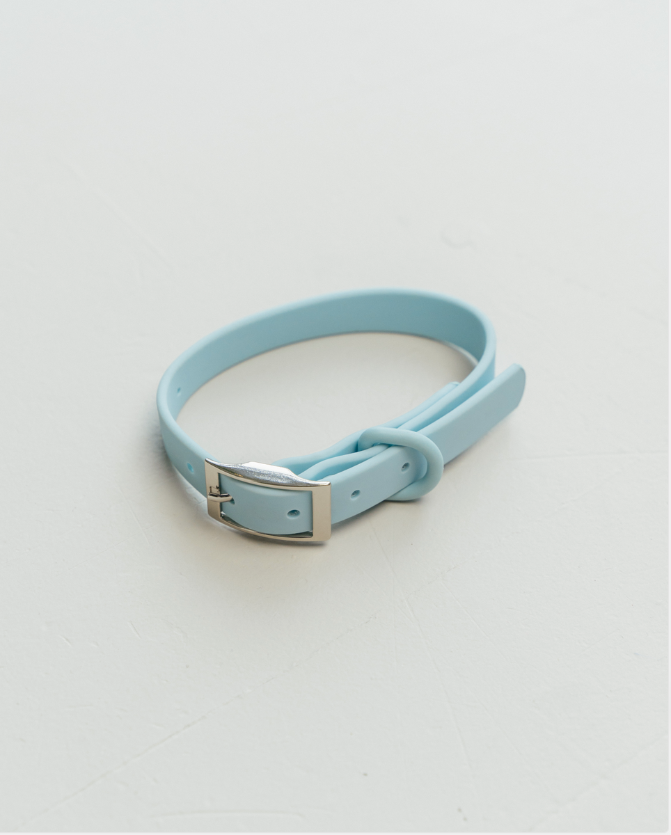 Sky Blue Waterproof Dog Collar – dexypaws